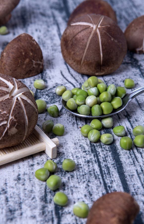 Elicious Letinous Edodes Ingredients Stock Photo - Image of edodes ...