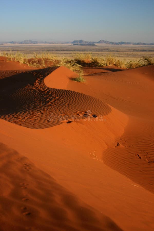 Footsteps Elim Dune Namibia Stock Photos - Free & Royalty-Free Stock ...