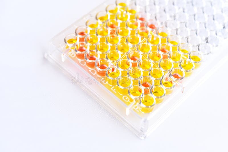 ELISA plate in laboratory stock image. Image of health - 126727011