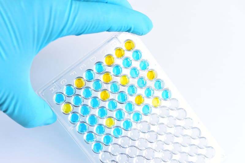 ELISA plate in laboratory stock photo. Image of analyzing - 126727020