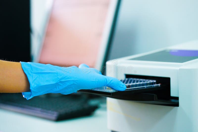 ELISA Plate To Measure OD with Microplate Reader. Stock Image - Image ...