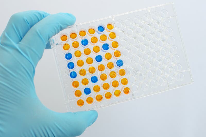 ELISA testing stock photo. Image of antigen, analyzing - 60860684