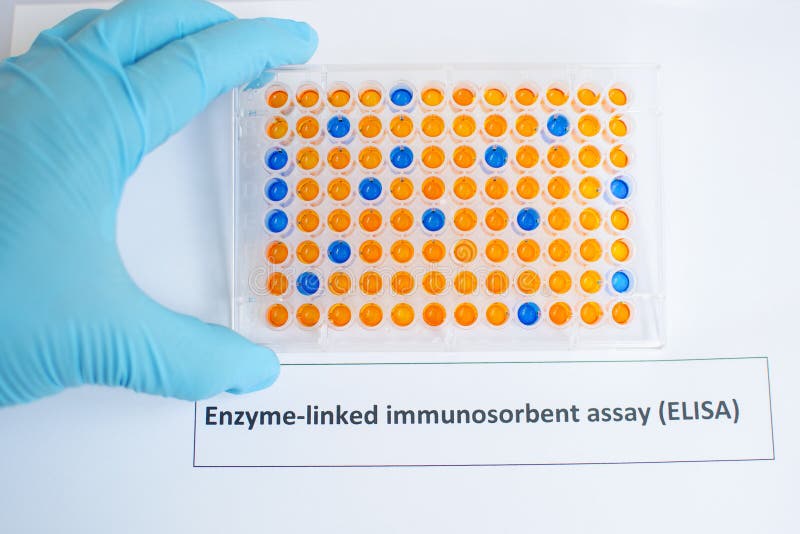 The Elisa stock image. Image of history, rigged, rope - 1317809