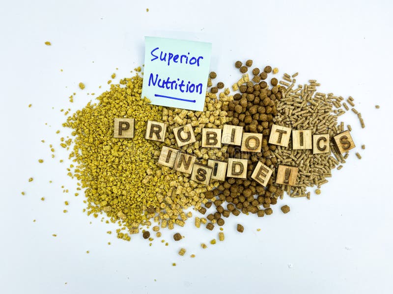 Antibiotic Free in Poultry Feed, Animal Farm Feed, Brochure, Poster ...