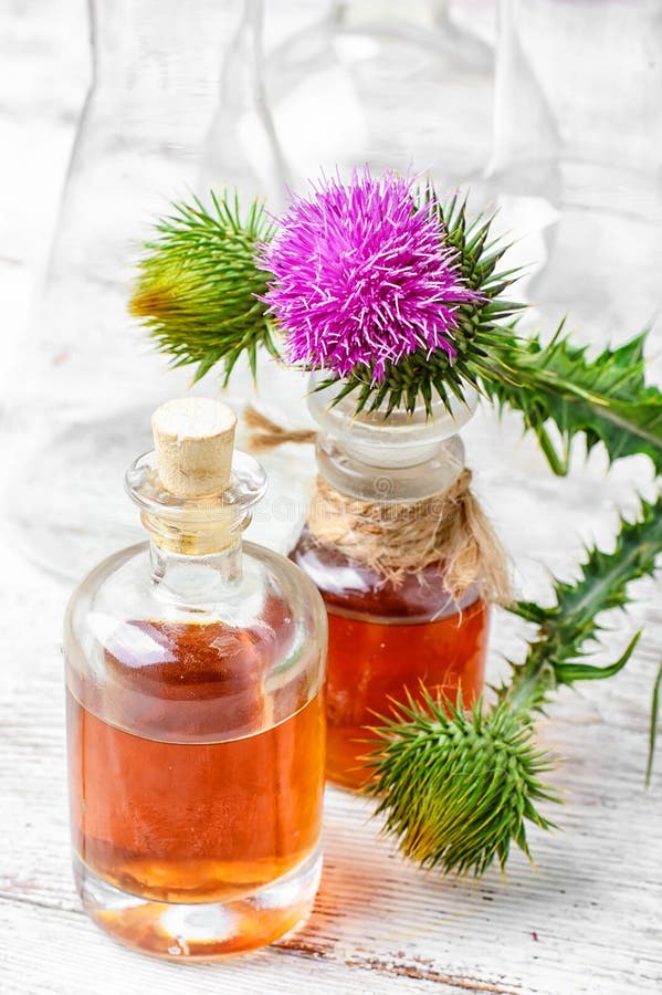 Elixir De Hierbas Medicinales Imagen de archivo - Imagen de verde ...