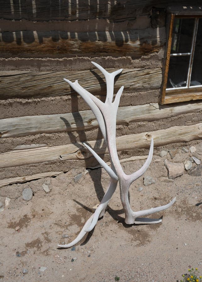 Elk Antlers Lean on an Outside Cabin Wall Stock Image - Image of lean ...