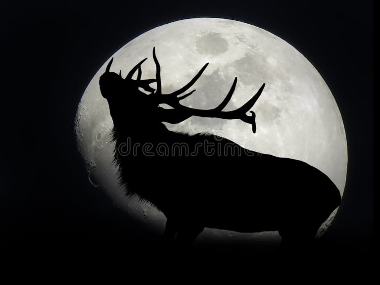 1,792 Elk Silhouette Stock Photos - Free & Royalty-Free Stock Photos ...