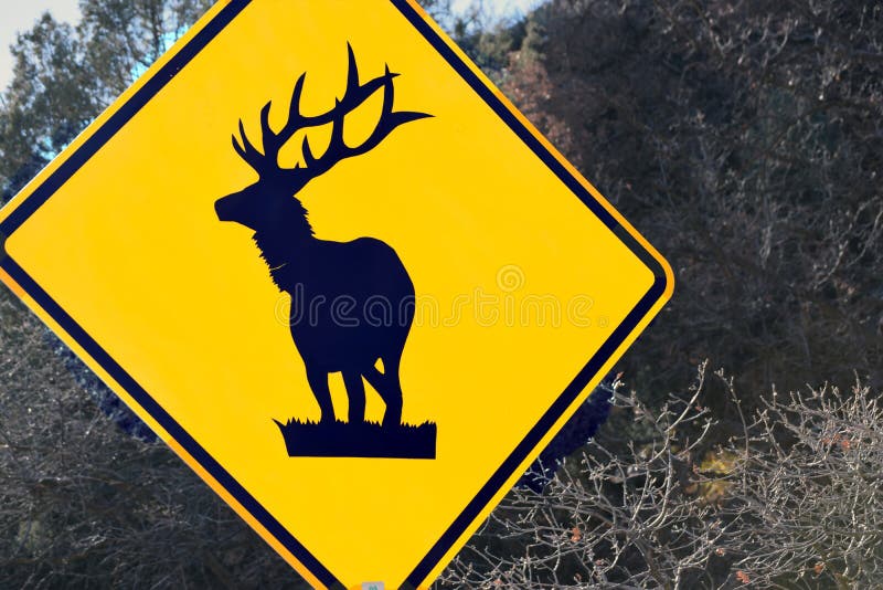 Elk crossing sign. stock photo. Image of national, road - 45808176