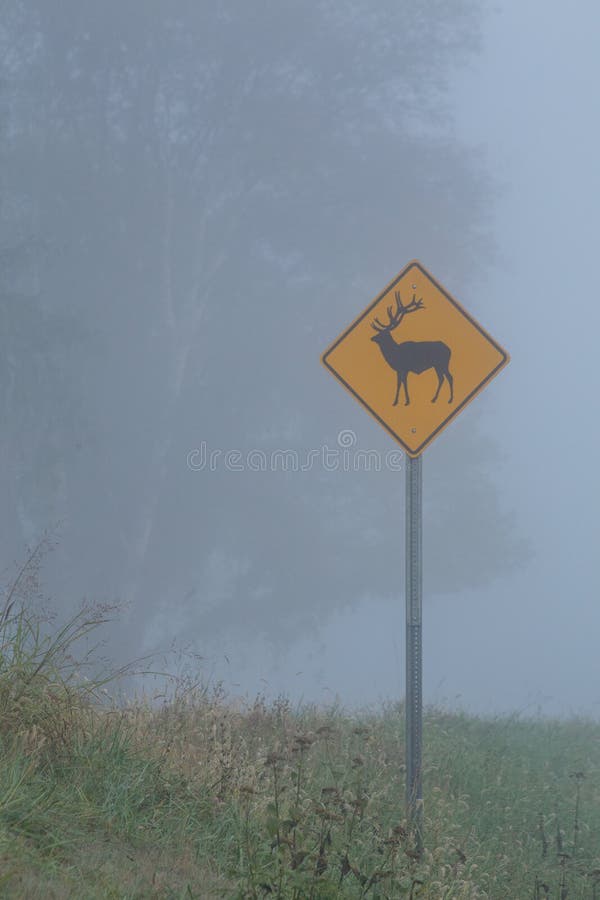 Elk Crossing Sign