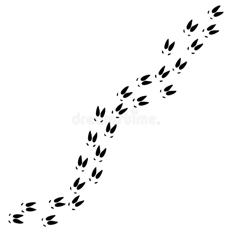 Impala Footprint Stock Illustrations – 62 Impala Footprint Stock ...