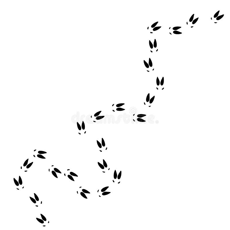 Impala Footprint Stock Illustrations – 62 Impala Footprint Stock ...