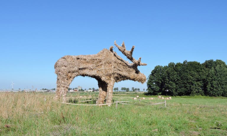 Elk made from hay stock photo. Image of brown, crafts - 57606312