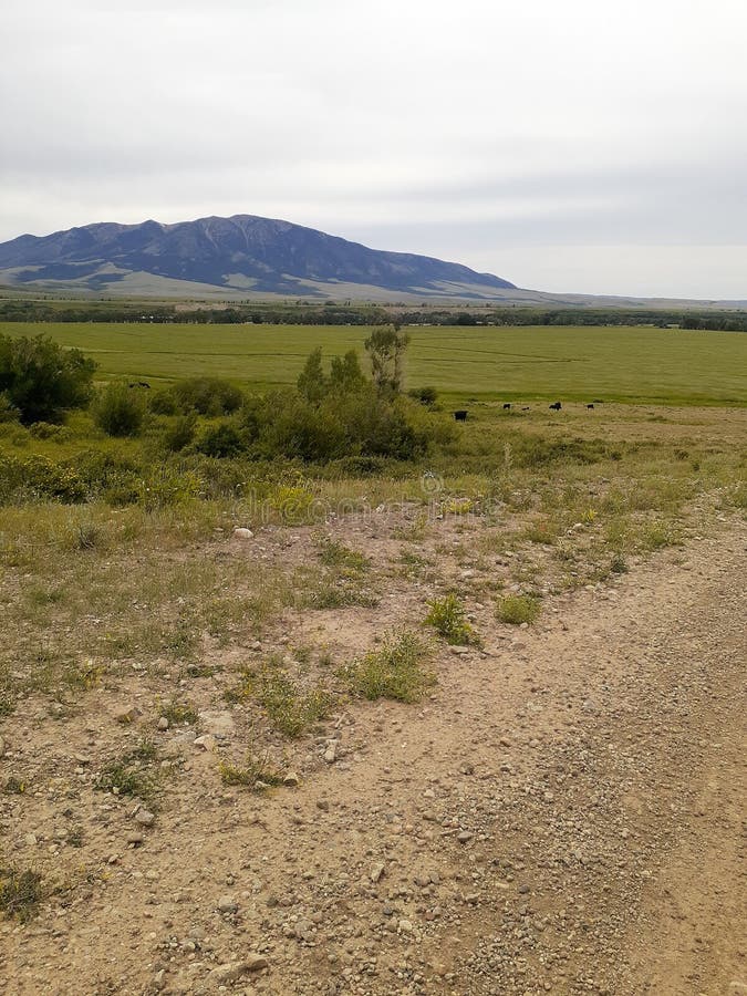 Elk Mountain Wyoming Scenic Drive Stock Image - Image of hill, pasture ...