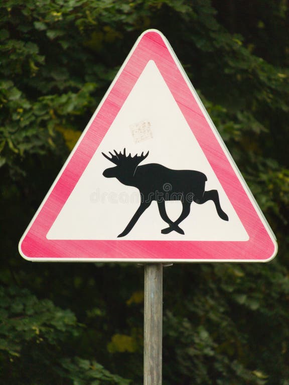 Elk Sign stock photo. Image of showing, warning, wapiti - 156249784