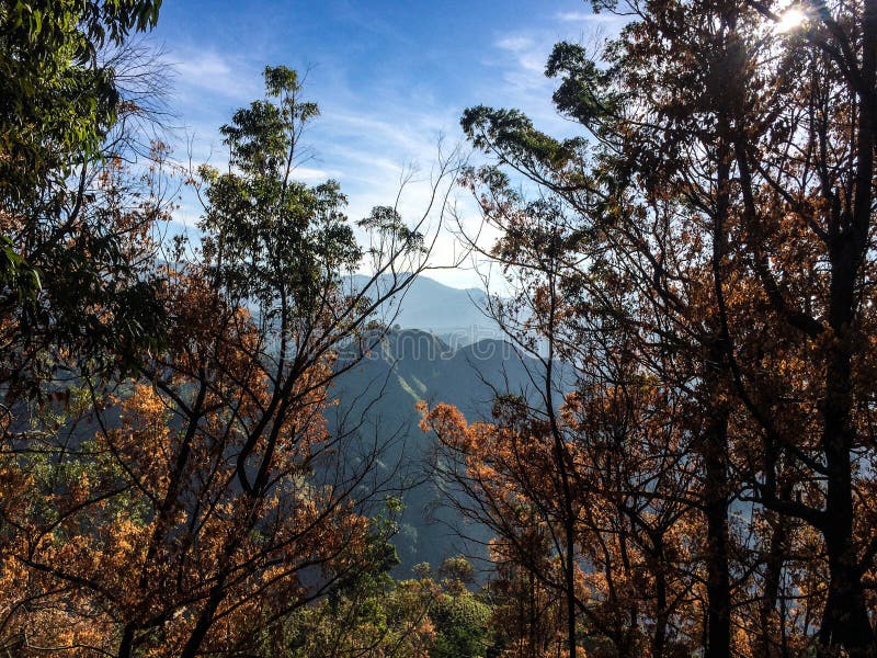 Ella Mountain at Ella, Badulla. Stock Image - Image of mountain, tree ...