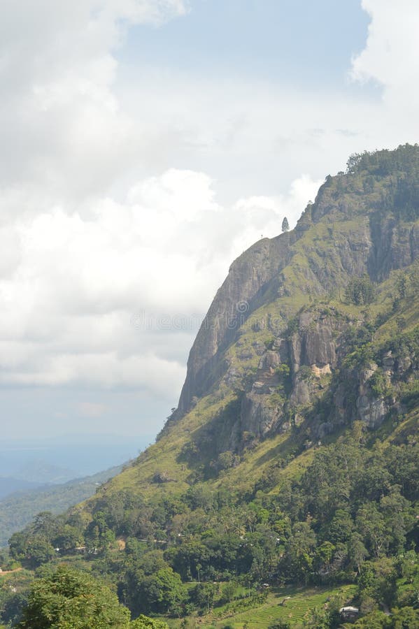 Ella Rock side view stock image. Image of holiday, starting - 103475415