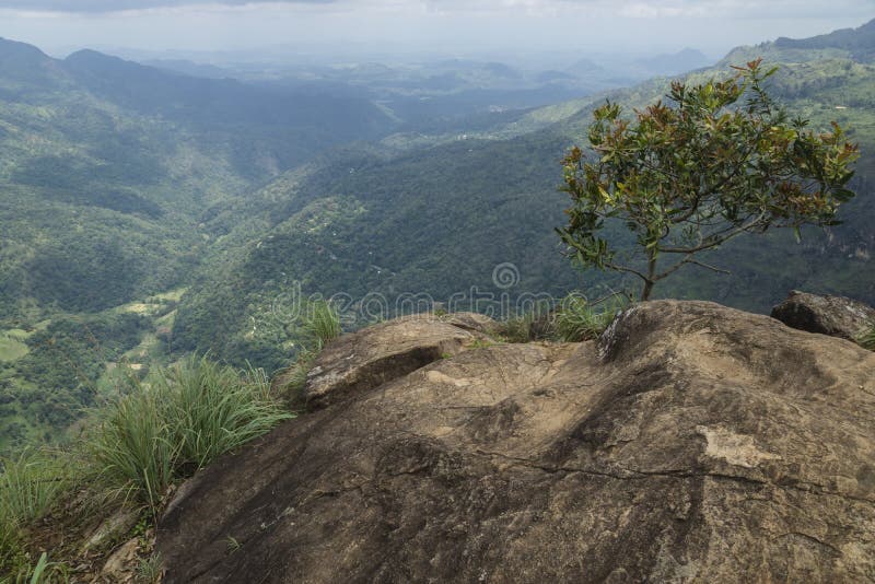 Ella Rock View into the Valley, Ella, Sri Lanka Stock Photo - Image of ...