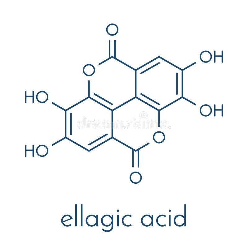 Ellagic Acid Dietary Supplement Molecule. Skeletal Formula. Stock ...
