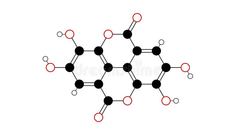 Ellagic Acid Molecule, Structural Chemical Formula, Ball-and-stick ...