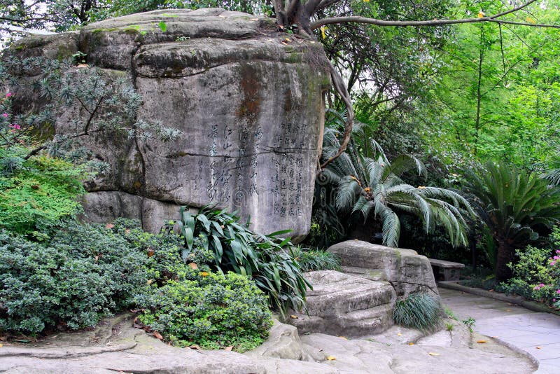 In Elling park stock photo. Image of elling, tree, flower - 24845050