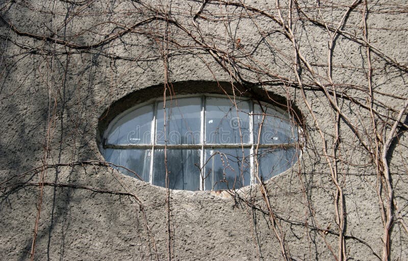 Ellipse window stock photo. Image of roots, round, wall - 111110