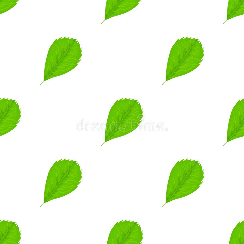 Elm Leaf Pattern Seamless Vector Stock Vector - Illustration of garden ...