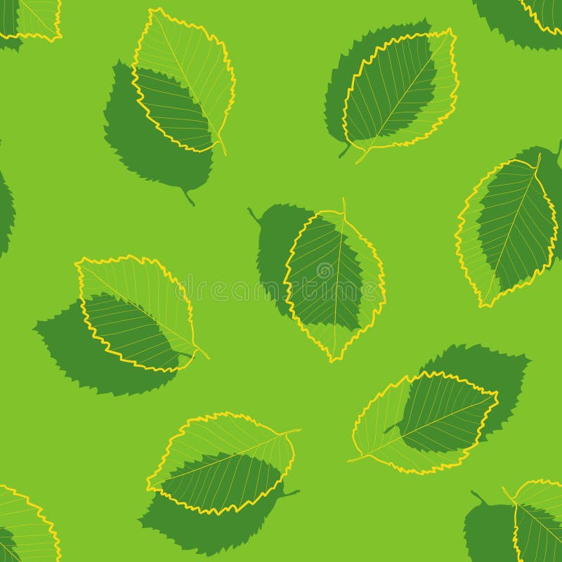 Elm leaves. Pattern stock vector. Illustration of autumn - 25484523