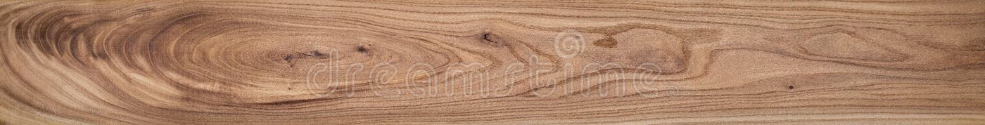 4,267 Elm Texture Stock Photos - Free & Royalty-Free Stock Photos from ...