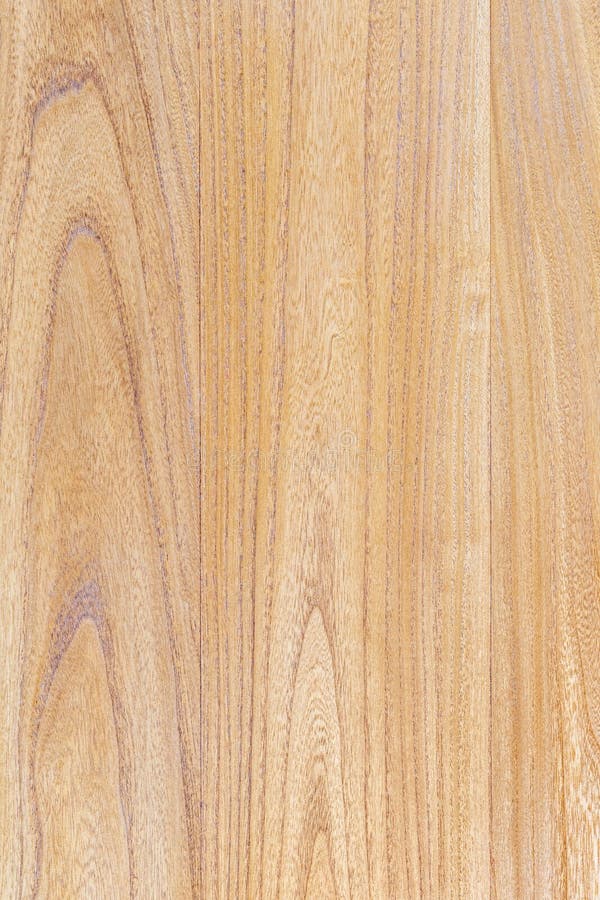 Elm plank texture stock photo. Image of vintage, decorative - 242658516