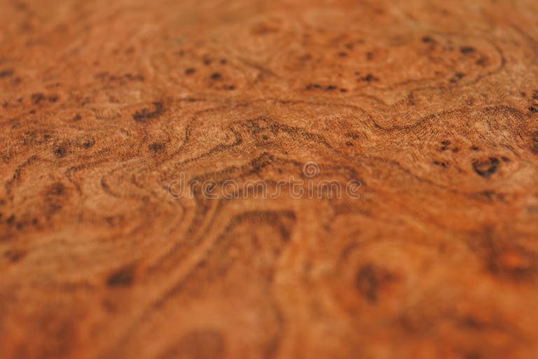 Elm Root Wood Texture with Wavy Grain Stock Image - Image of weathered ...