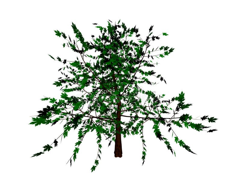 Trees Top View for Landscape Vector Illustration. Stock Vector ...