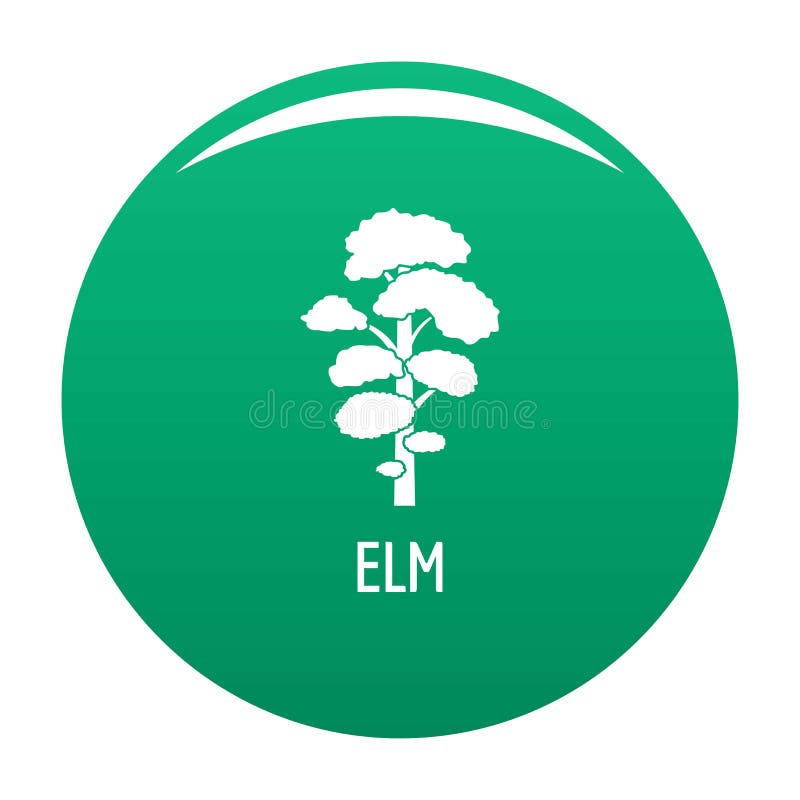 Elm tree icon vector green stock vector. Illustration of greenery ...