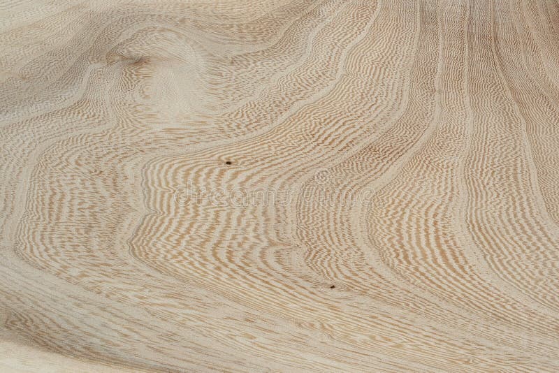 Elm Wood Texture stock photo. Image of texture, ulme - 15548068