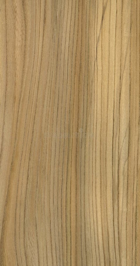 18+ Elm wood texture Free Stock Photos - StockFreeImages