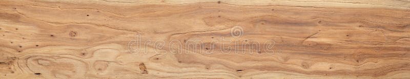Elm Wood Texture. Extra Long Elm Planks Texture Background. Wide ...