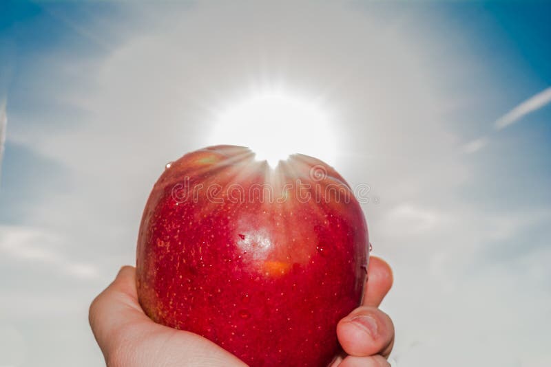 Elongated Hand of a Man Holding a Red Apple Against a Blue Sky and Sun ...
