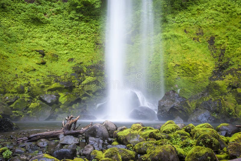 Elowah Falls, Columbia Gorge, Oregon Stock Image - Image of scenery ...