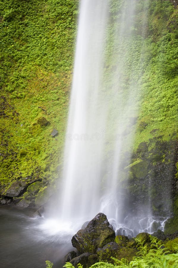 Elowah Falls, Columbia Gorge, Oregon Stock Photo - Image of columbia ...