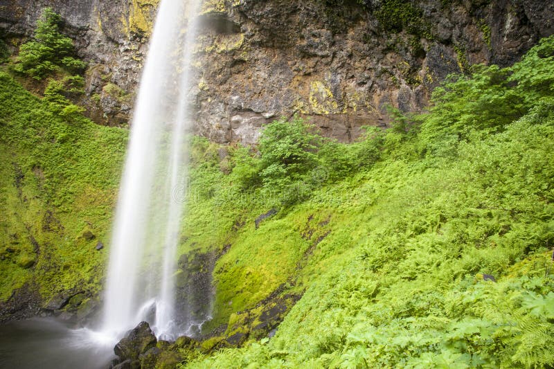 Elowah Falls, Columbia Gorge, Oregon Stock Photo - Image of stream ...