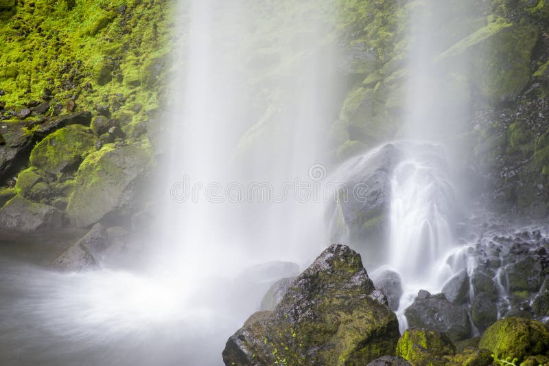 Elowah Falls, Columbia Gorge, Oregon Stock Image - Image of nature ...