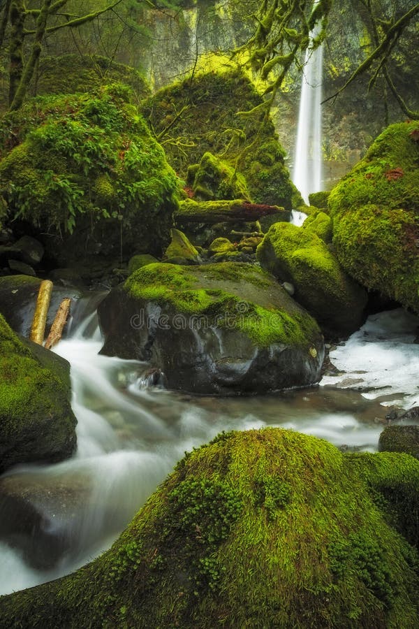 Elowah Falls, Columbia Gorge, Oregon Stock Photo - Image of columbia ...