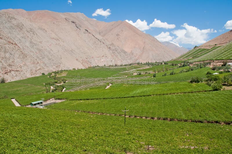 Elqui valley, Chile stock photo. Image of elqui, field - 20829022