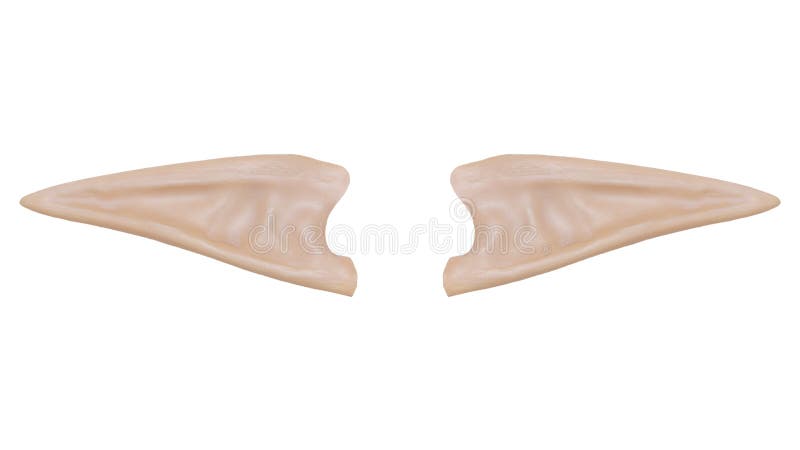 Elven Ears on a White Background. Elf Ears Isolated. Stock Image ...