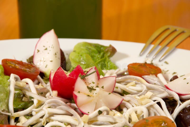 Elver salad stock photo. Image of healthy, elver, radish - 14270662