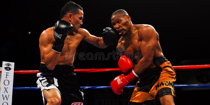 Elvin Ayala Connects on Eric Mitchell Editorial Photo - Image of everlast, trunks: 24126636