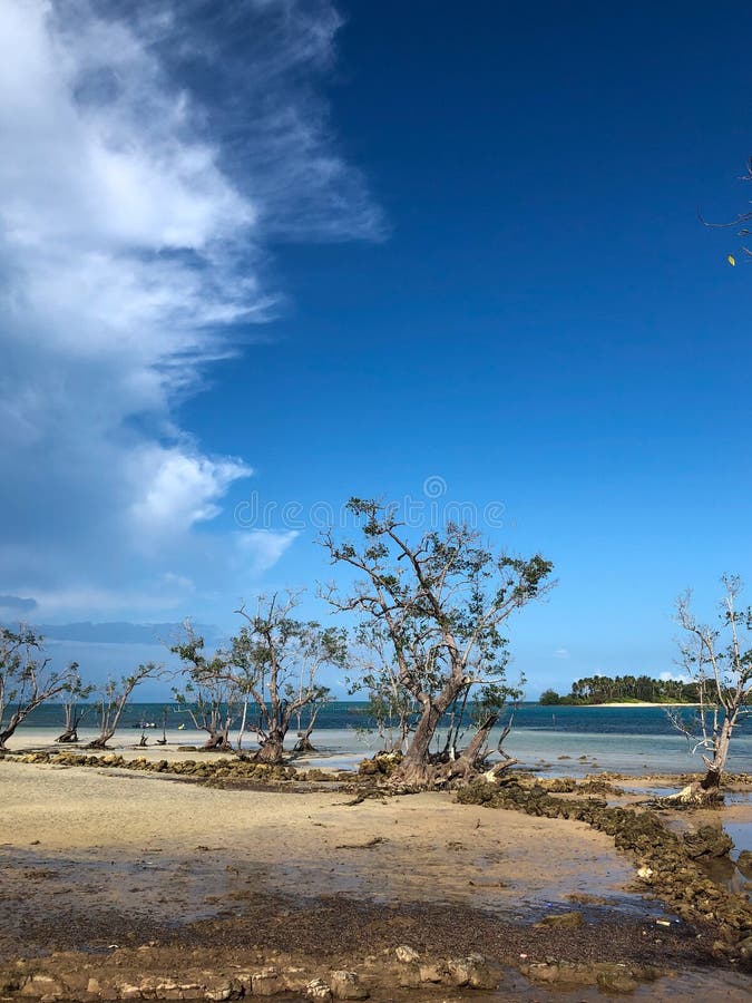 Elyora stock image. Image of captured, elyora, beach - 221895807