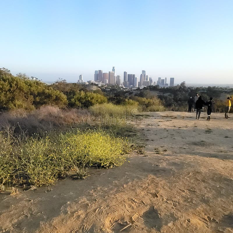 Elysian park DTLA view stock image. Image of leaf, water - 220530753