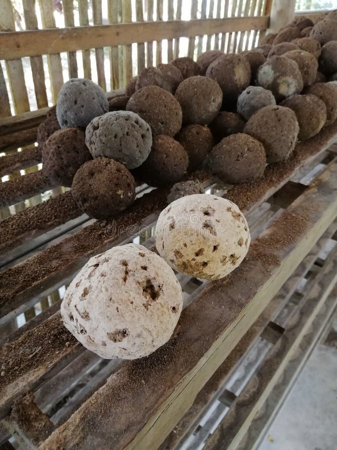 EM Mudballs or Effective Microorganism Mudballs Stock Image - Image of ...