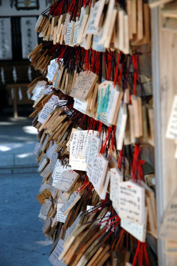 Goat Portrait stock photo. Image of portrait, hairy, isolated - 15540