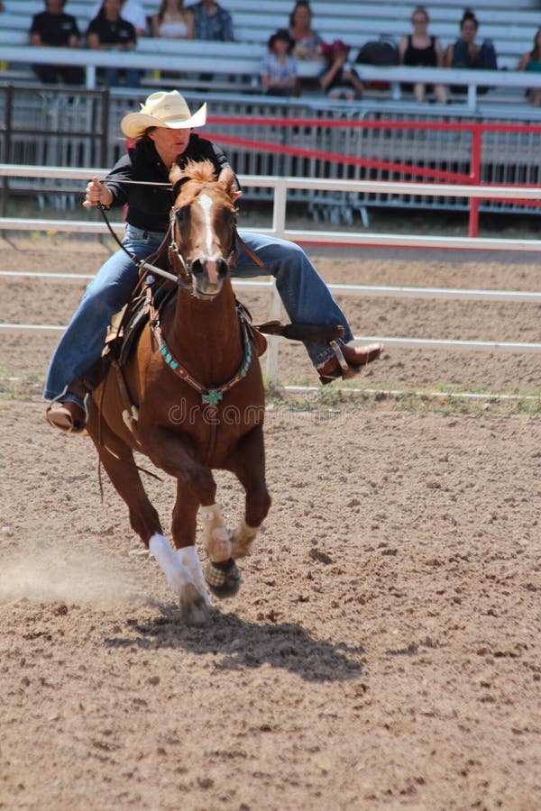 Barrel Racing photo stock. Image of cheval, équitation - 2342632